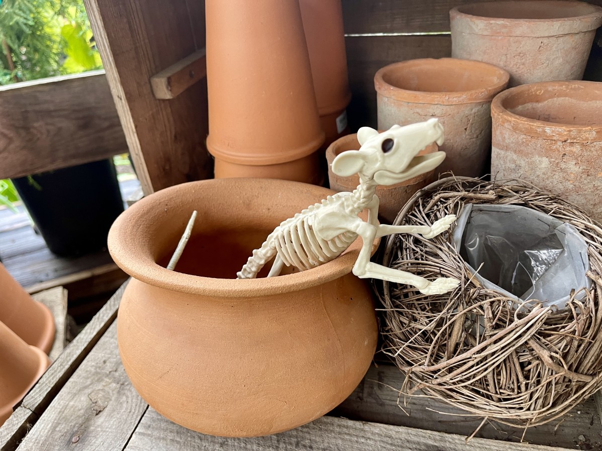 Boo 2022 - Plant Lust